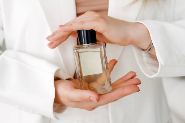 The Art of Scent: Exploring the Intriguing World of Fragrances – Hadiyyeh